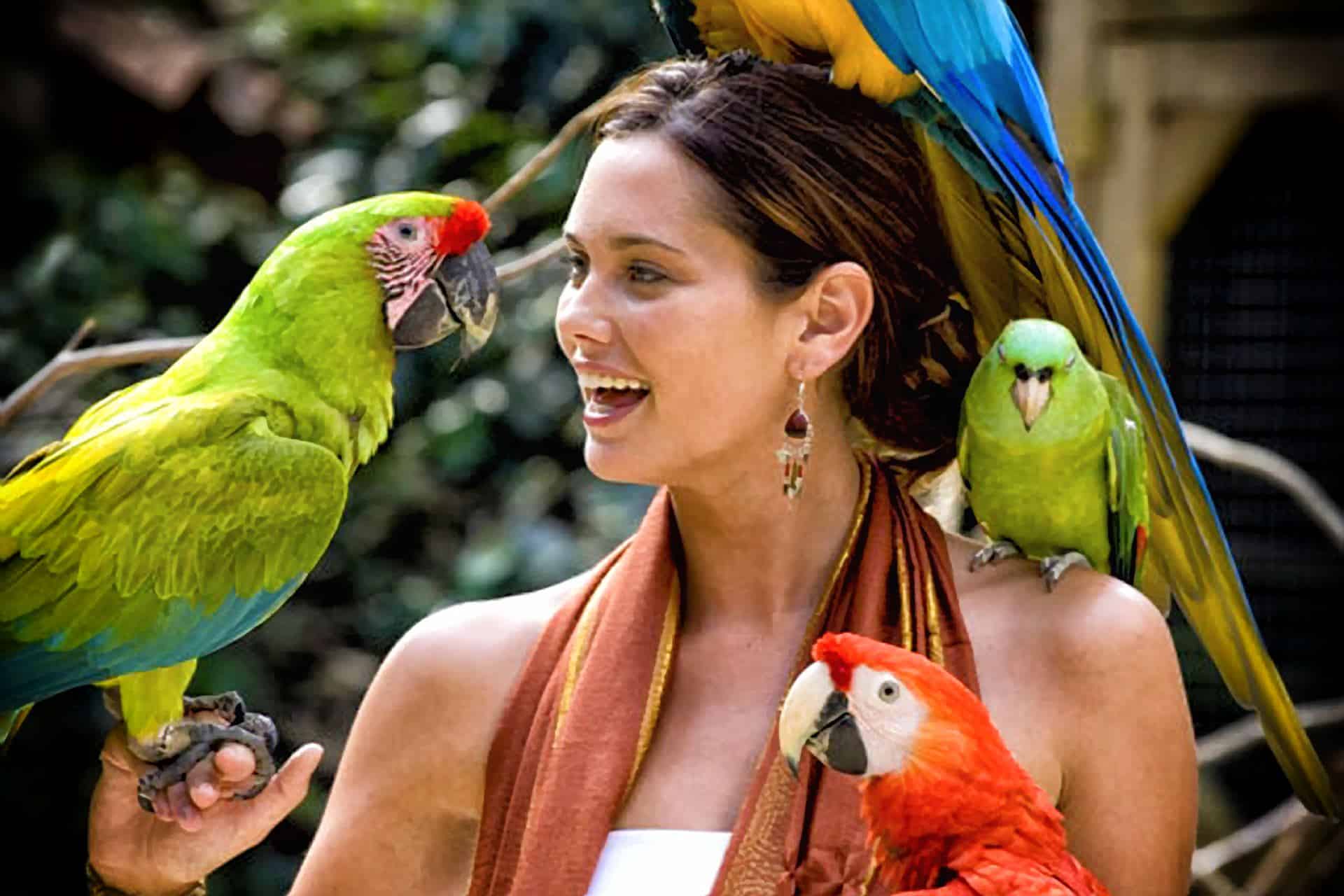 Sobre nosotros – Macaw Mountain